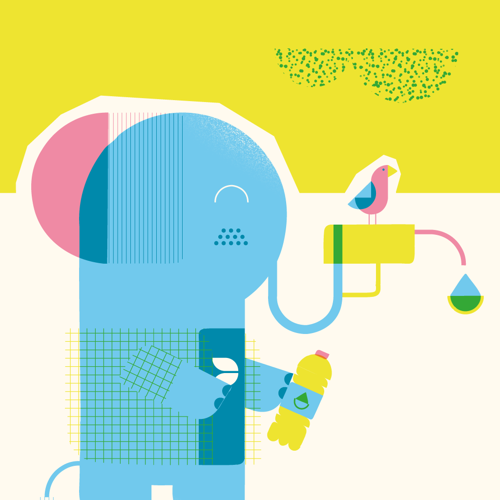 2024-2025 | Projetos Eco-Escolas – Eco-Escolas