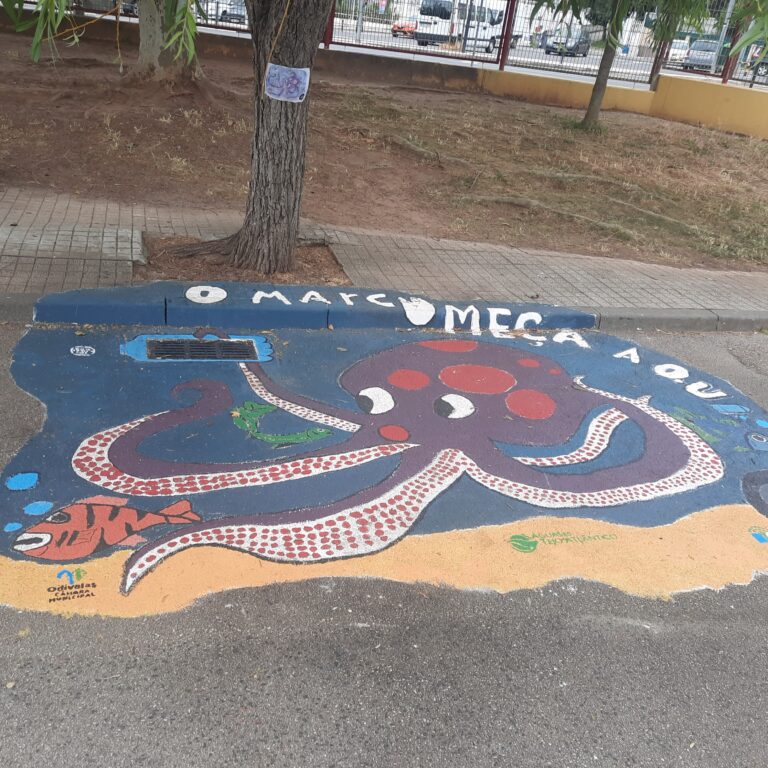 Vasco Santana_QUADRADA – Eco-Escolas