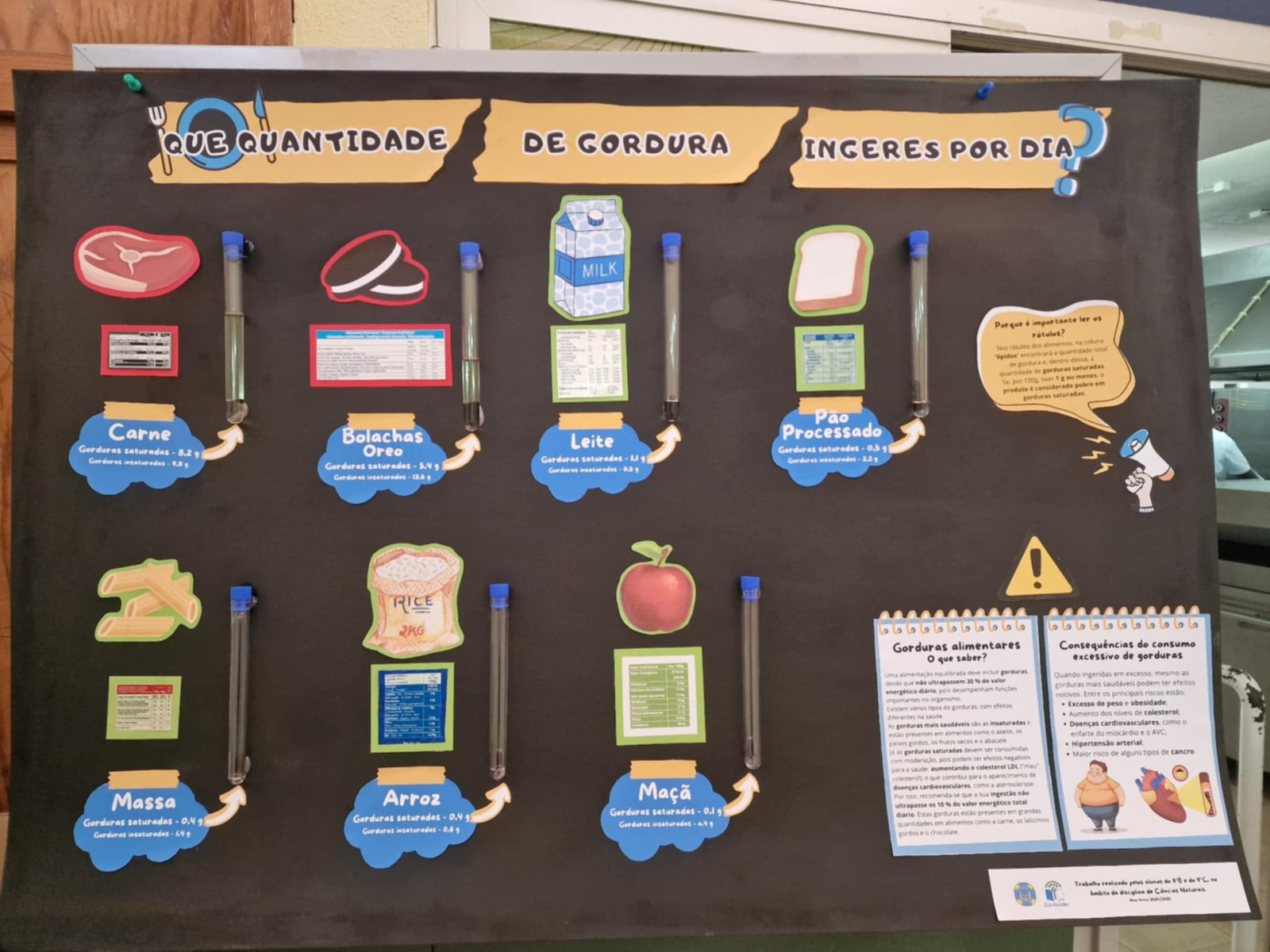 Foto_Painel – Eco-Escolas